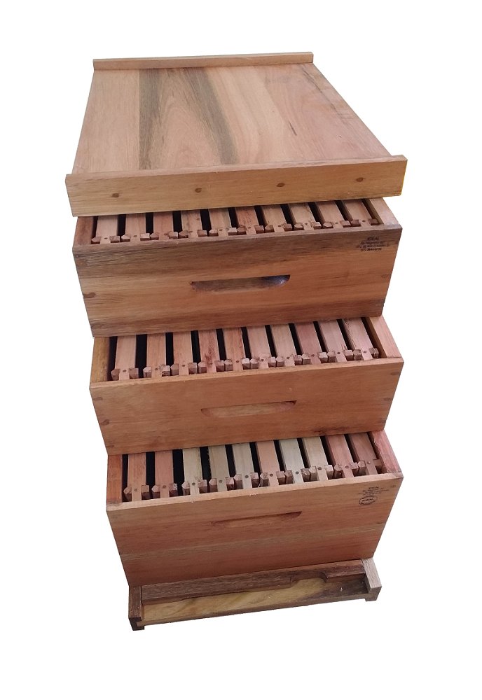 Colmeia Langstroth - Silbee