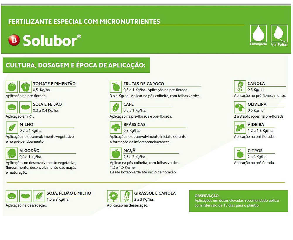 Ácido Bórico Solubor Boro Solúvel Foliar Adubo Fertilizante - Multi ...