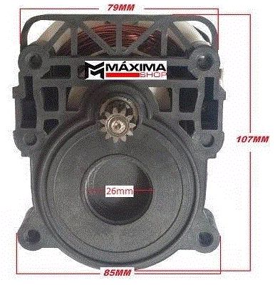 Motor Hidrolavadora Tekna HLX150 / HLX1501 HC9650C - 110V - MaximaShop