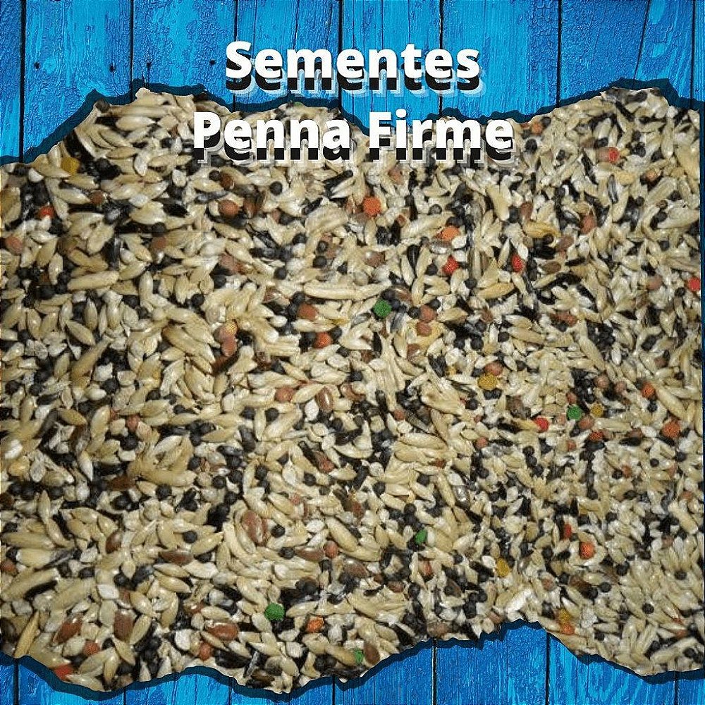 Mistura de Sementes - Canários - Embalagem de 1kg - Comercial Penna ...