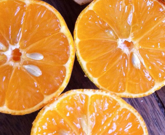 Limão Cravo - Lindas Mudas Enxertadas - bhmudas