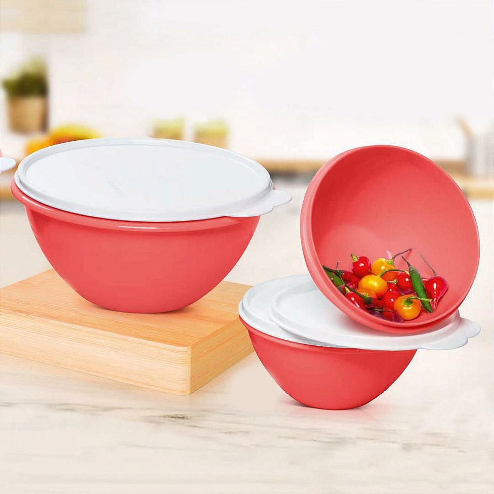 Tigelas Maravilhosas Linha Geladeira - Dona Mirtes Tupperware