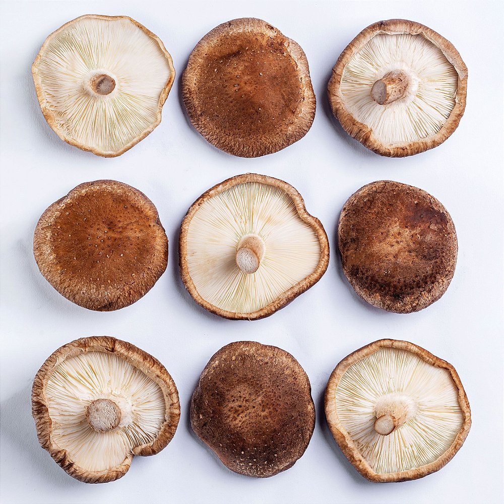 Cogumelo Shitake 200g Fungo de Quintal - Fungo de Quintal