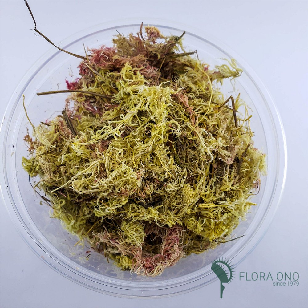 Musgo Sphagnum - 1 Litro - Flora Ono - Plantas Carnívoras online venda ...