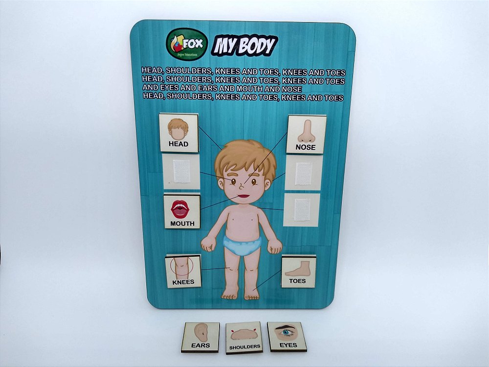 Jogo do corpo humano - A Pontee - Brinquedos Educativos
