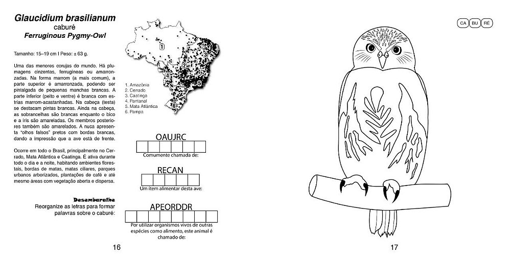 Livro Aves da Caatinga: Colorir & Aprender - LOOK! Birdwatching