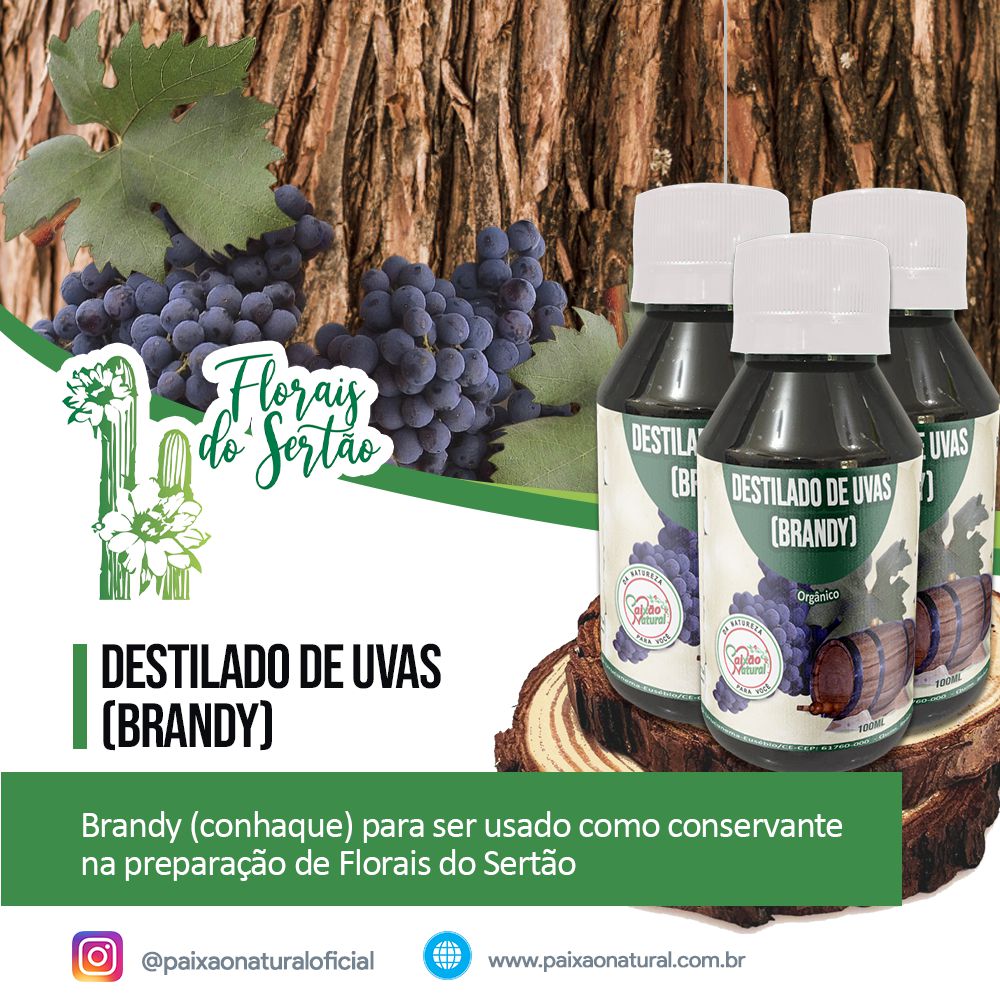 Destilado de Uva (Brandy) - Paixão Natural