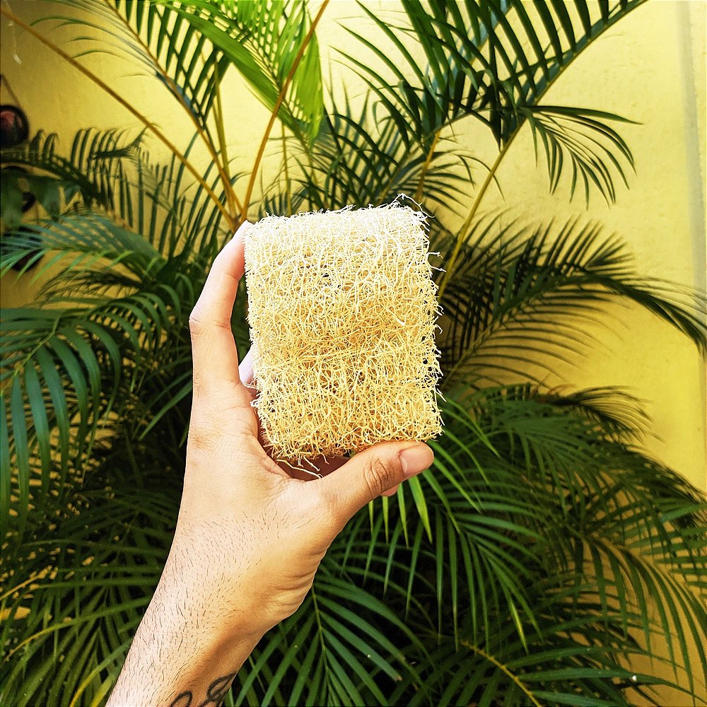 Esponja bucha vegetal natural orgânica - BioEco Brasil