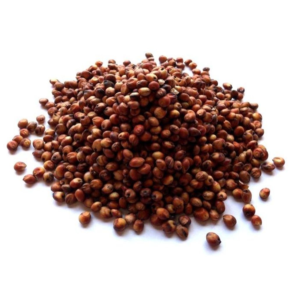 SORGO EM GRÃOS 100G - Dom Garcia Empório - A sua loja de Produtos Naturais!