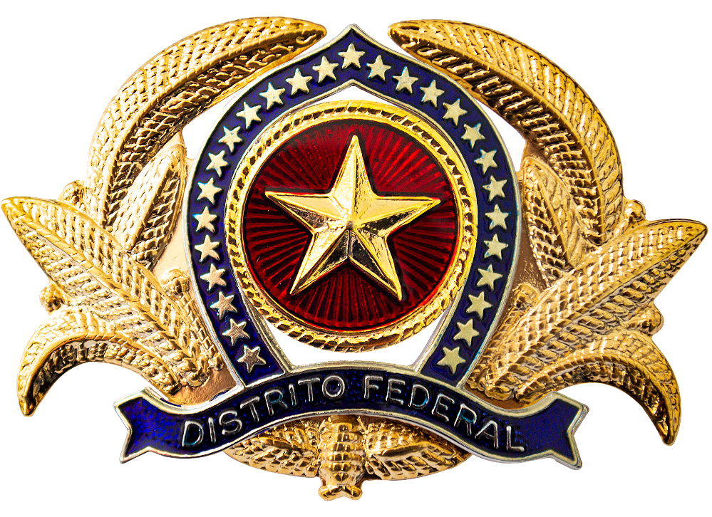 DISTINTIVO DE BOINA - OFICIAL POLÍCIA MILITAR DF - Miguel Hernandez ...