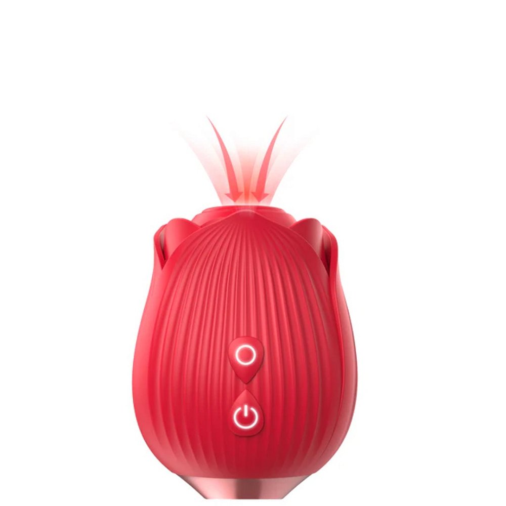 Vibrador Duplo Formato de Rosa e Penetrador com Movimentos de Vai e Vem – VIBRATOR FLOWER - Rosa ...