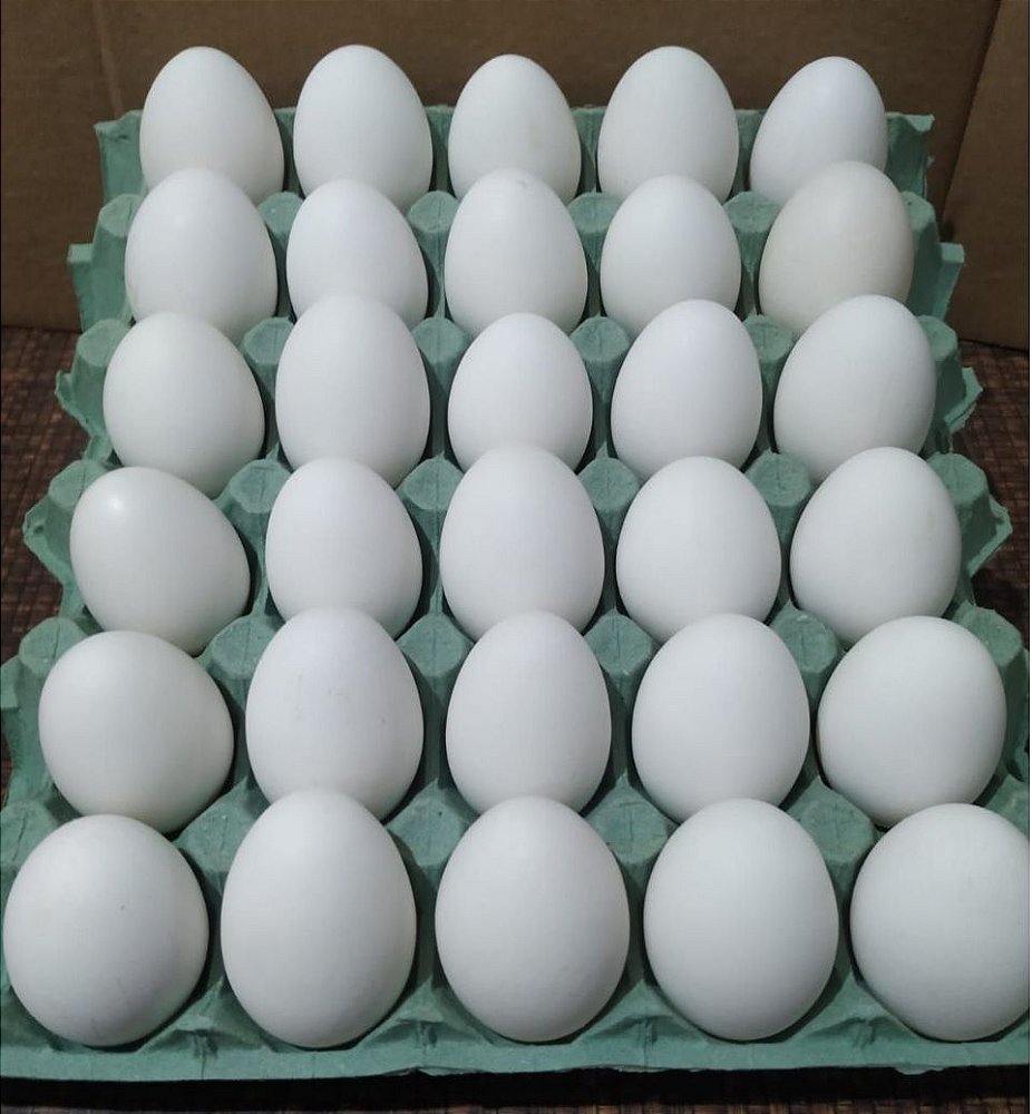 Ovos Jumbo Branco 30 Unidades - OVOS DI CASA - Ovos fresquinhos e ...