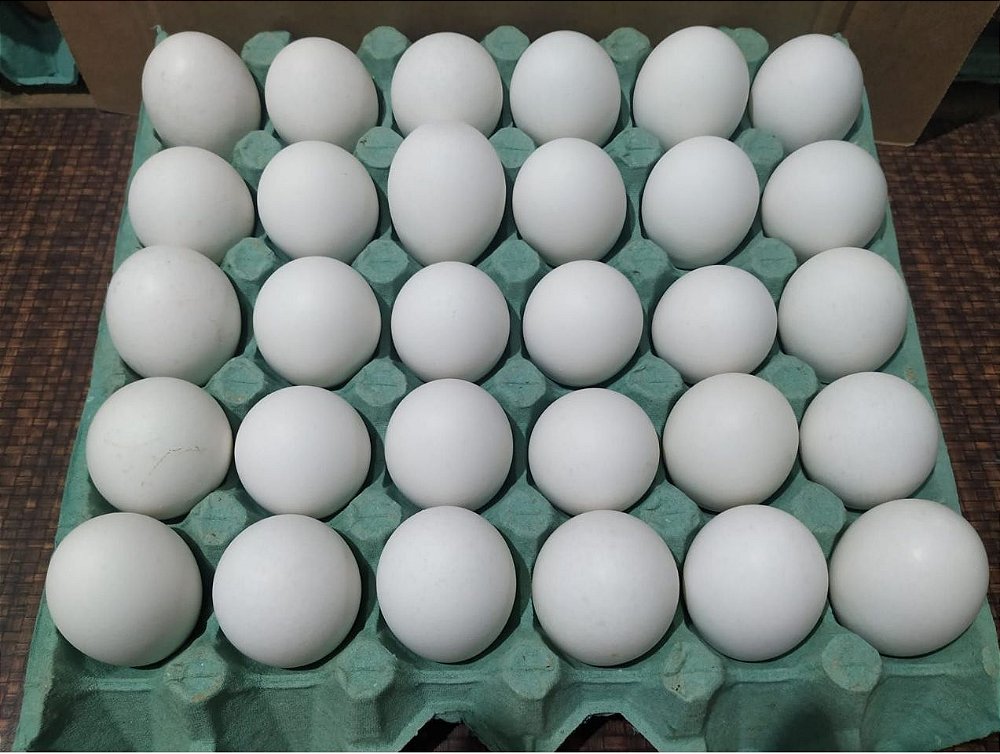 Ovo Extra Branco 30 Unidades - OVOS DI CASA - Ovos fresquinhos e ...