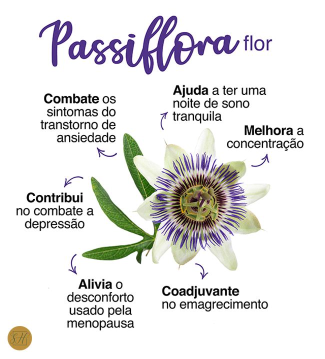 CHÁ DE PASSIFLORA (Maracujá - Passiflora Incarnata) - Armazém Santa ...