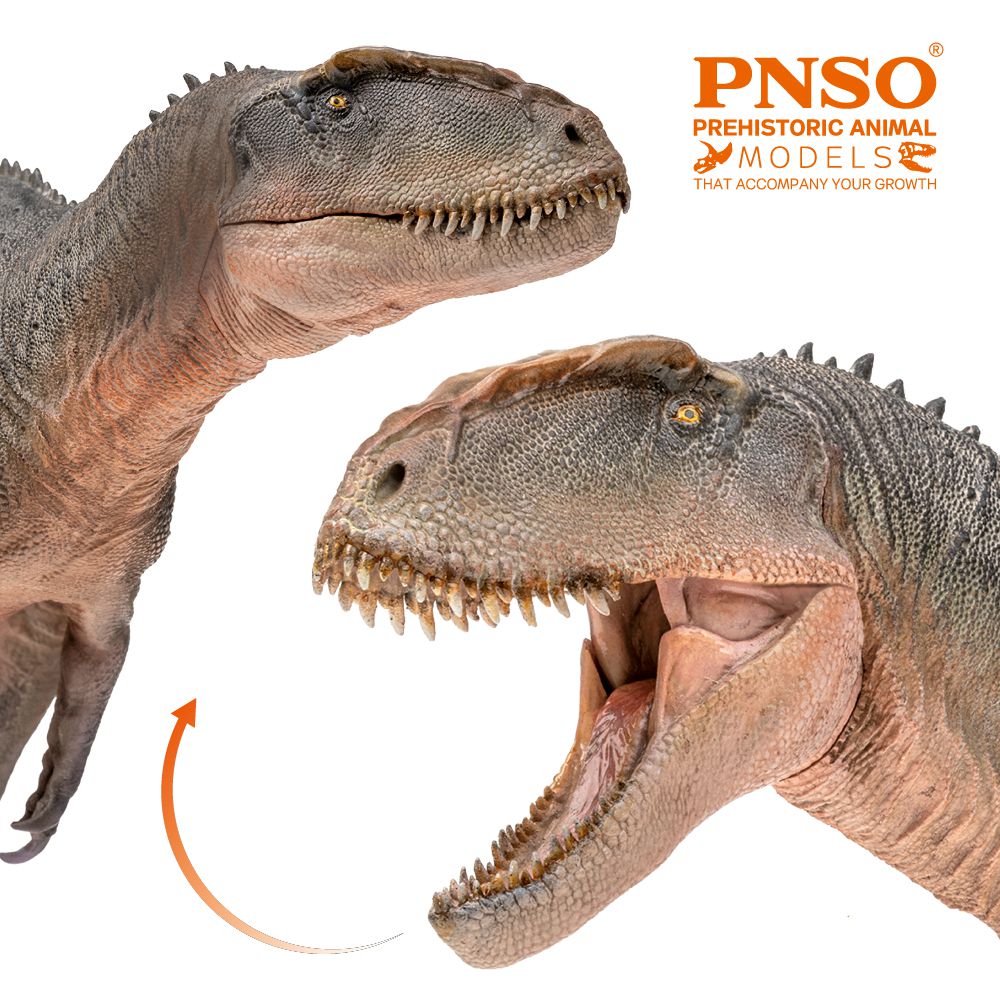 SINRAPTOR PNSO "XINCHUAN " RÉPLICA DE DINOSSAURO CARNÍVORO MINIATURA D ...