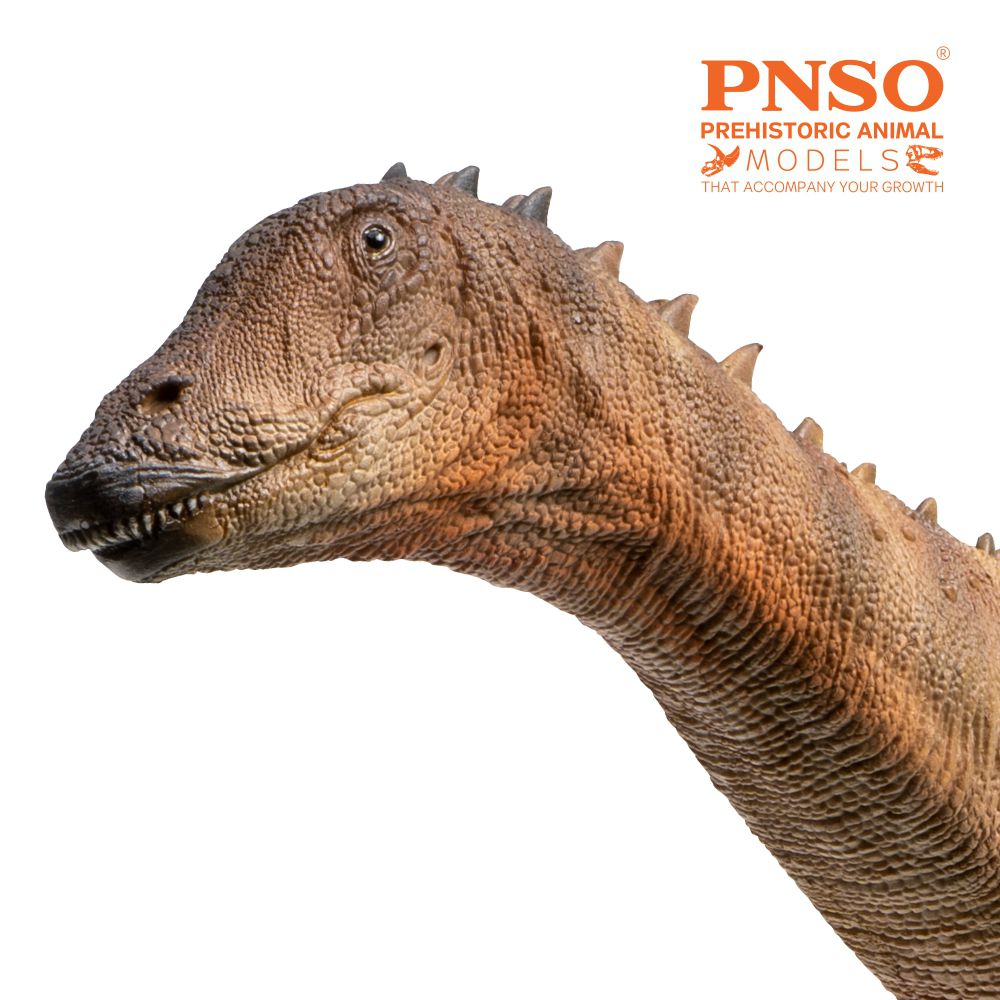LINGWULONG PNSO "CHUANCHUAN" RÉPLICA DE DINOSSAURO PESCOÇUDO MINIATURA ...