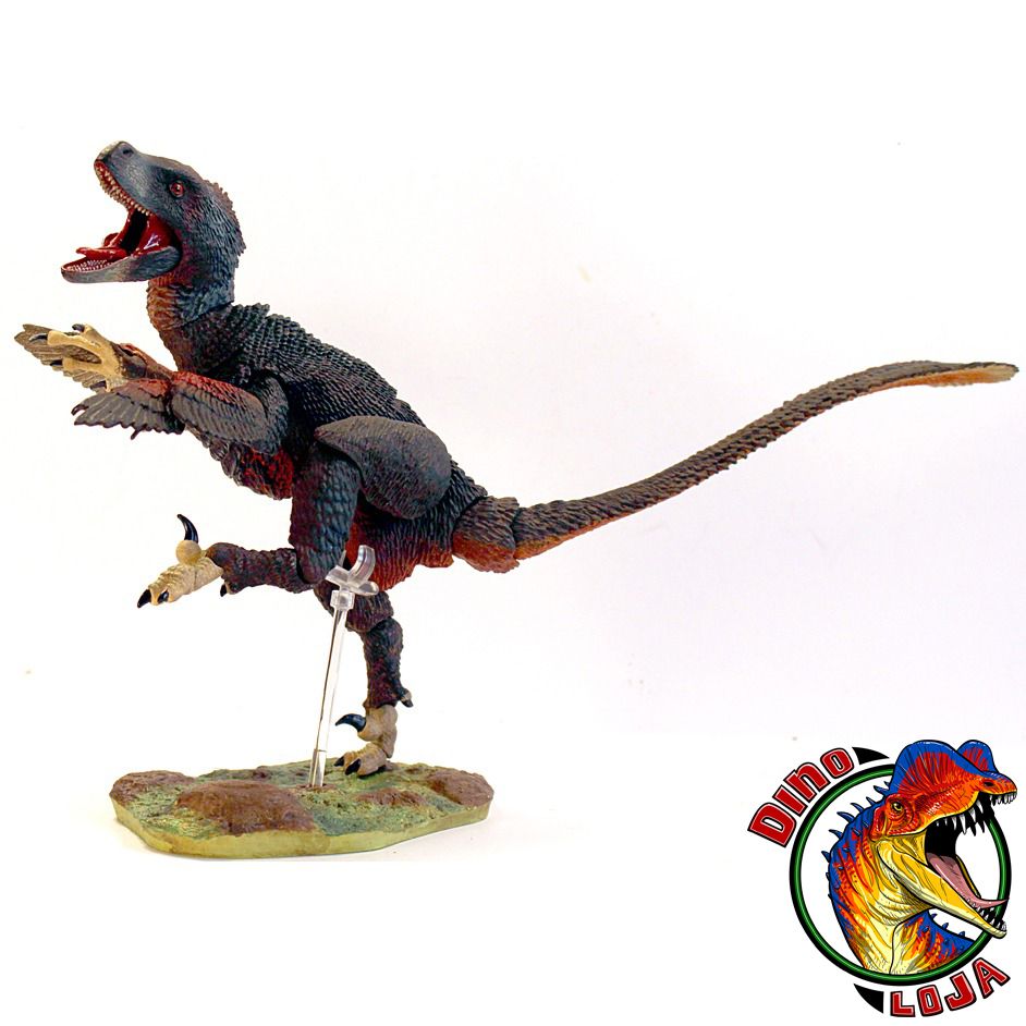 DINOSSAURO ATROCIRAPTOR BEASTS OF THE MESOZOIC FIGURA DE RAPTOR ...