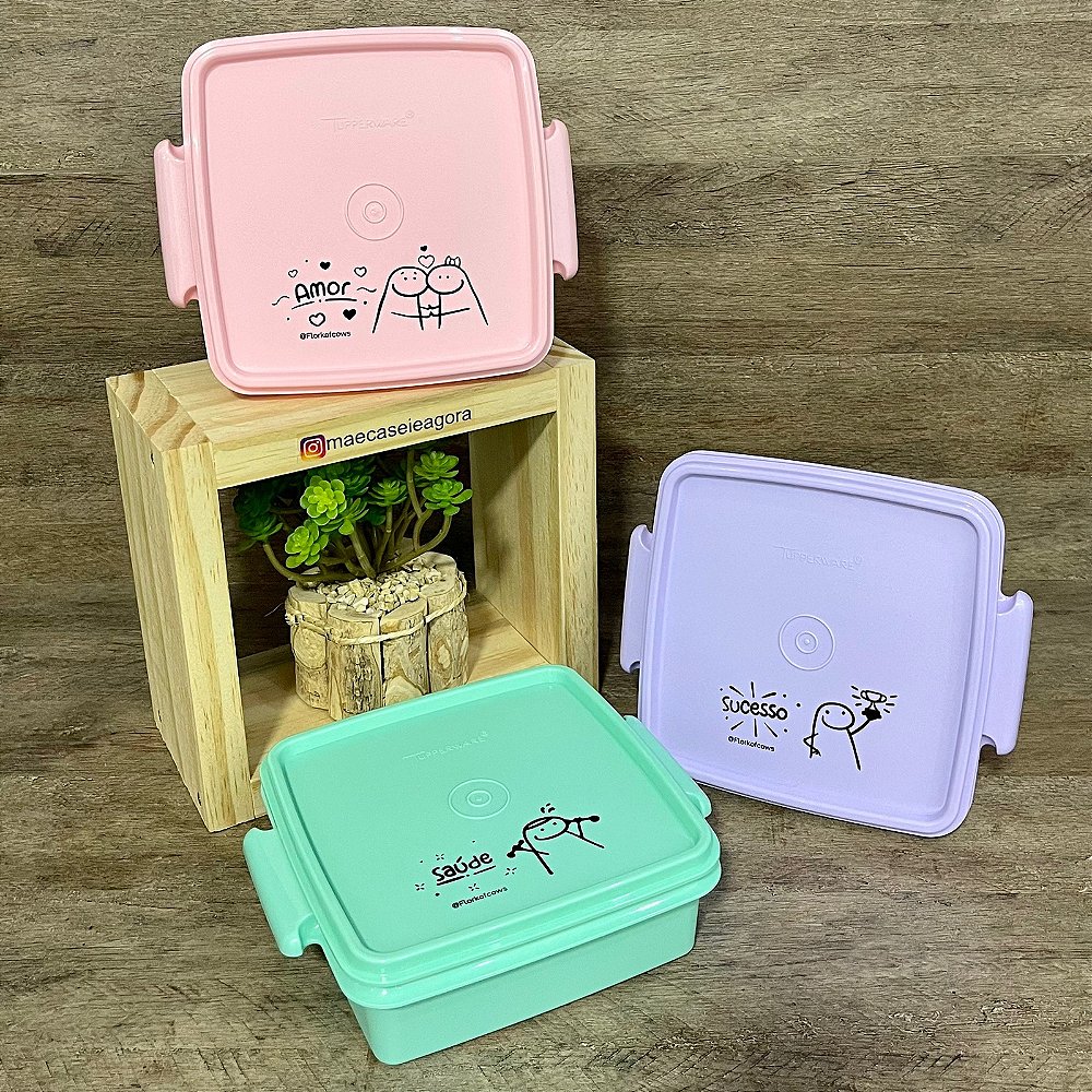 Tupperware Kit 3 Tupper Pote 780 ml Meme - Mãe, Casei e Agora?-Tupperware!