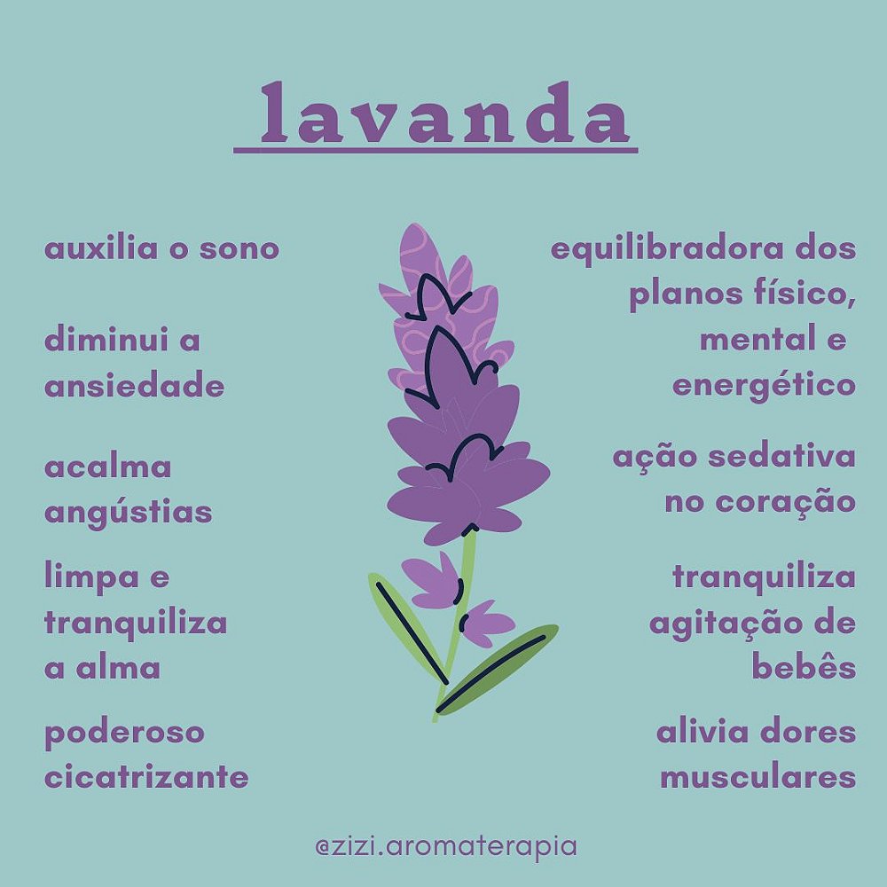 Óleo essencial de Lavanda - zizi aromaterapia