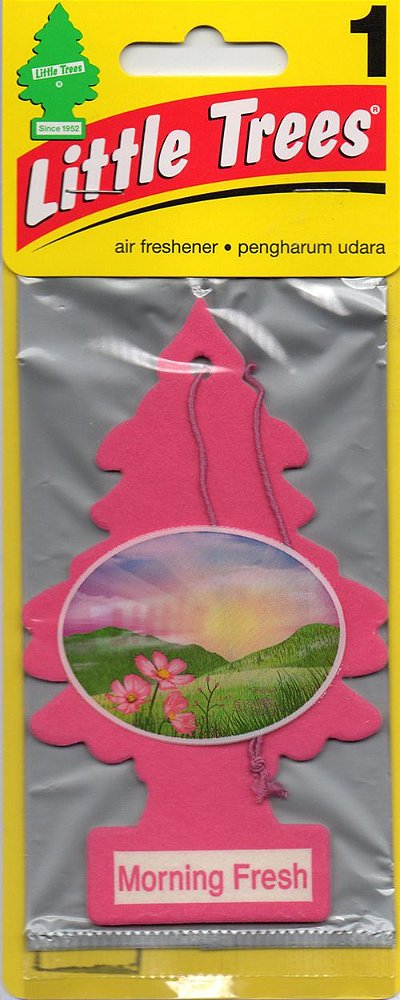 Little Trees Morning Fresh (Aroma de manhã fresca) - Little Tree ...