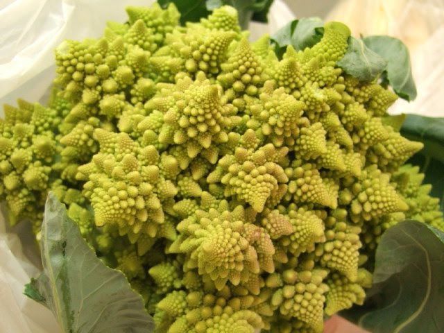 Couve Romanesca - 50 Sementes - Semente Rara - Venda de Sementes Para ...