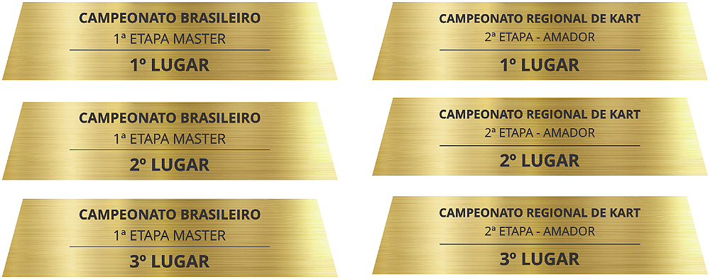 COMO PERSONALIZAR - Line Winner Troféus e Medalhas
