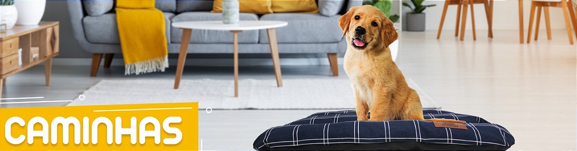 Mabuu Pet - Tudo para o seu amigo PET