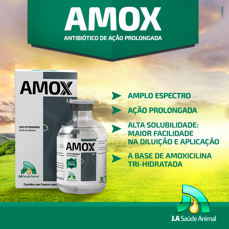 AMOX JA 100 ML - VANGUARDA DO AGRO
