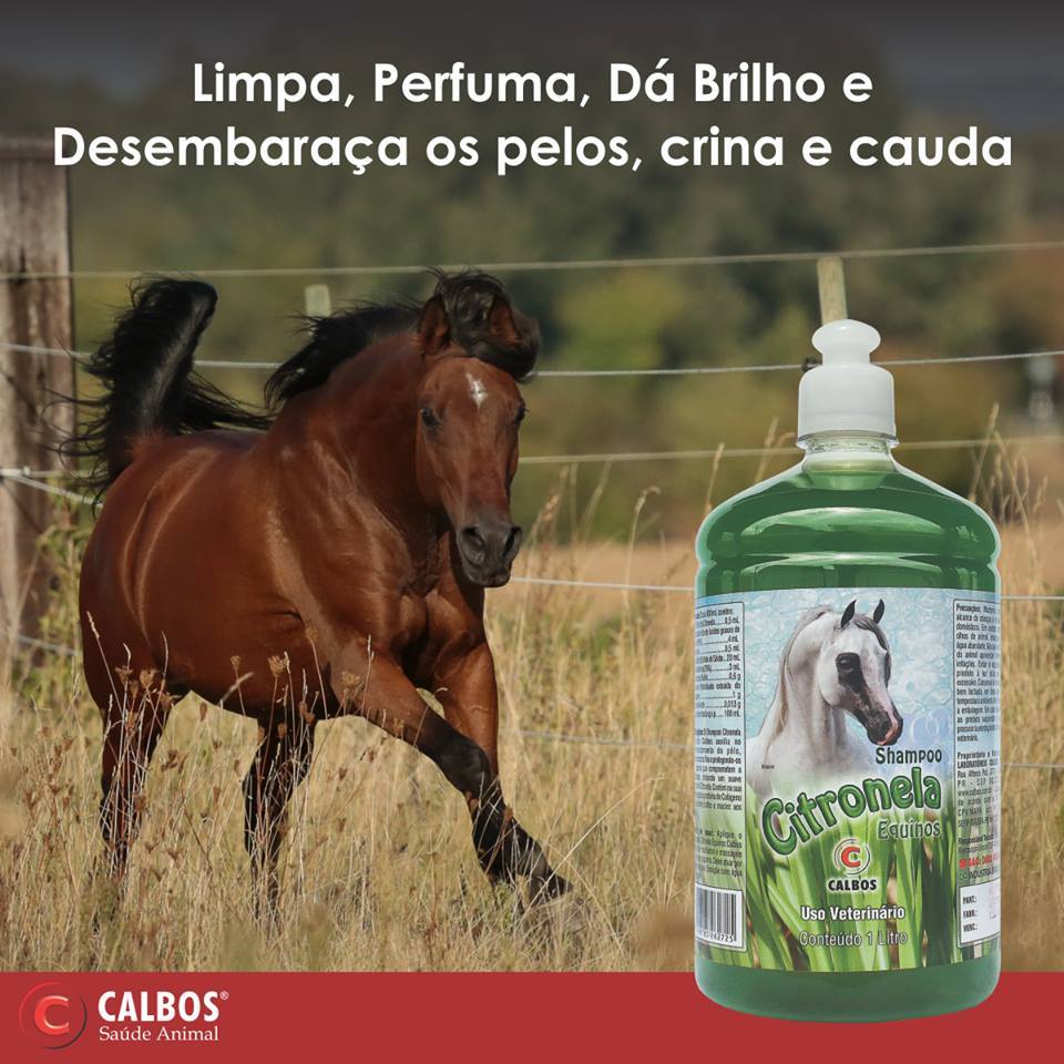 SHAMPOO CITRONELA EQUINOS CALBOS 5 LITROS - VANGUARDA DO AGRO