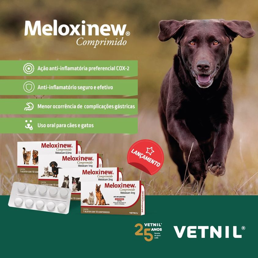 MELOXINEW 1MG COM 10 COMPRIMIDOS - VANGUARDA DO AGRO