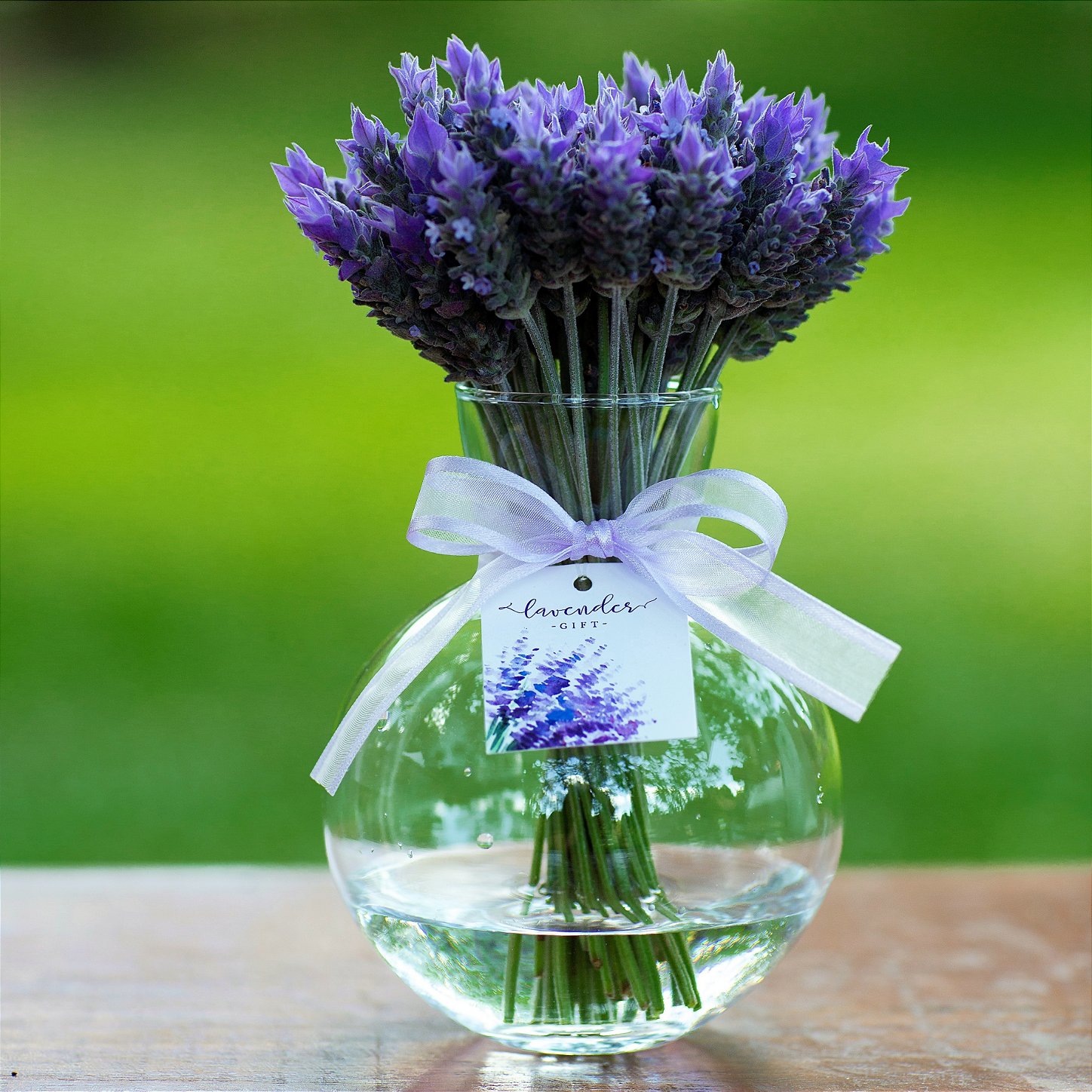 Sob Encomenda - Lavender Gift - Lavandas direto da fazenda