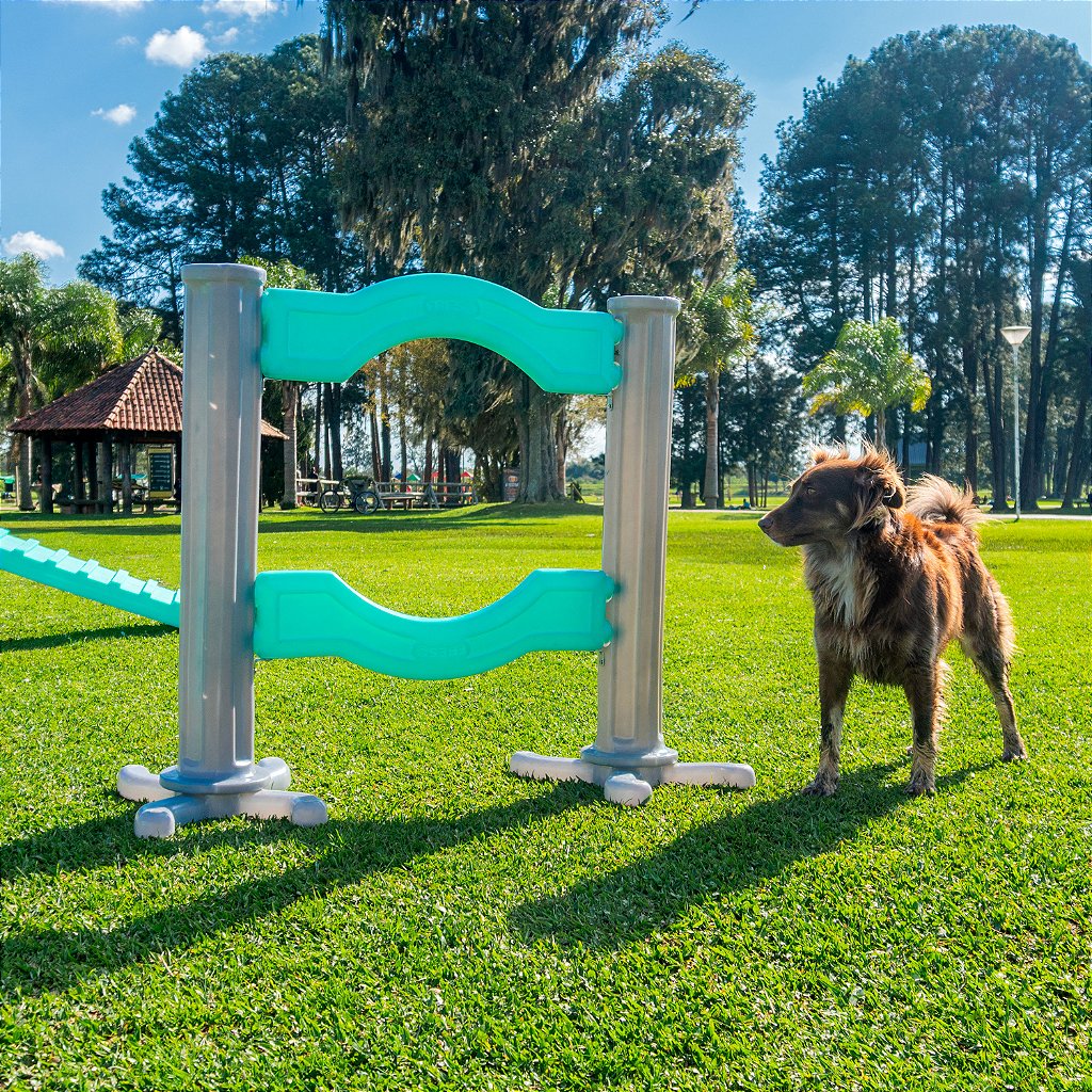 Salto De Agilidade De Cachorro Rottweiler Na Competição De