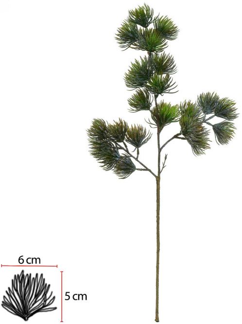 Arvore Do Libano Líbano Zeder (Cedrus Libani) Árvore Majestosa Feita