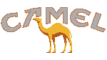 Camel - Orange House Store - A maior Tabacaria, Head Shop e Grow Shop ...