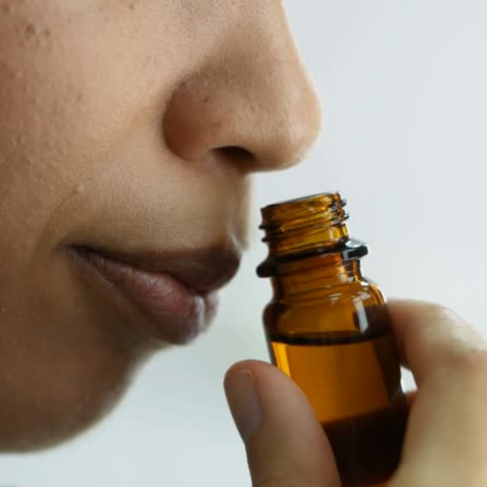 Como funciona o Treinamento Olfatório? Dr Marco Aurélio explica ...