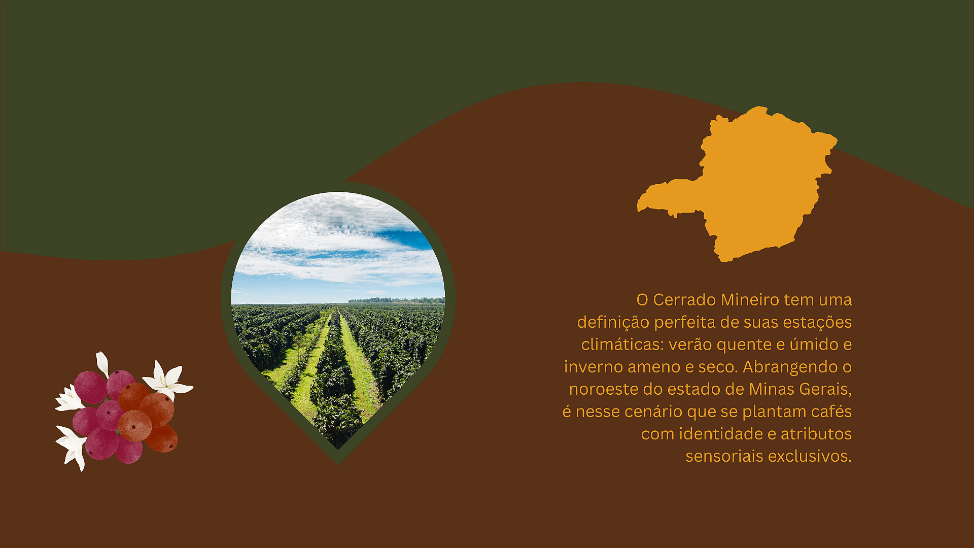 Café Montebello - Oitenta e Oito Cafés Especiais e Torrefação
