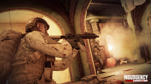 Insurgency Sandstorm PS4 Carvalho Games