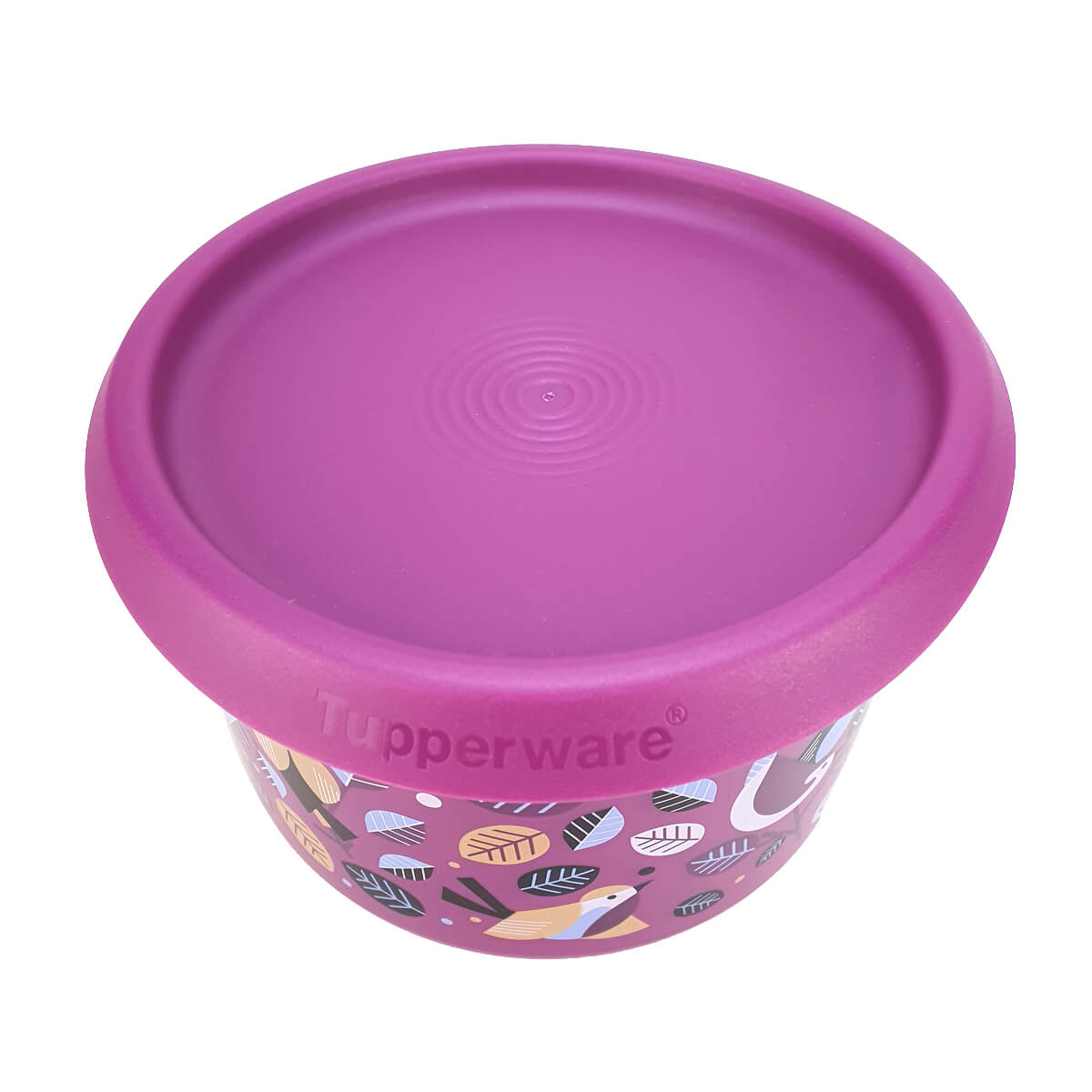 Tupperware Mini Instantânea Jardim dos Pássaros 575ml - Comprar ...