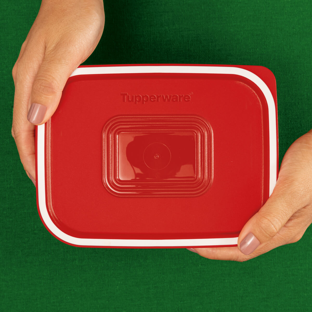 Tupperware Baseline Retangular 230ml Vermelha Natal - Comprar ...