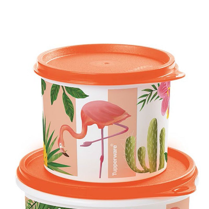 Tupperware Redondinha Flamingo 500ml Laranja - Comprar Tupperware ...