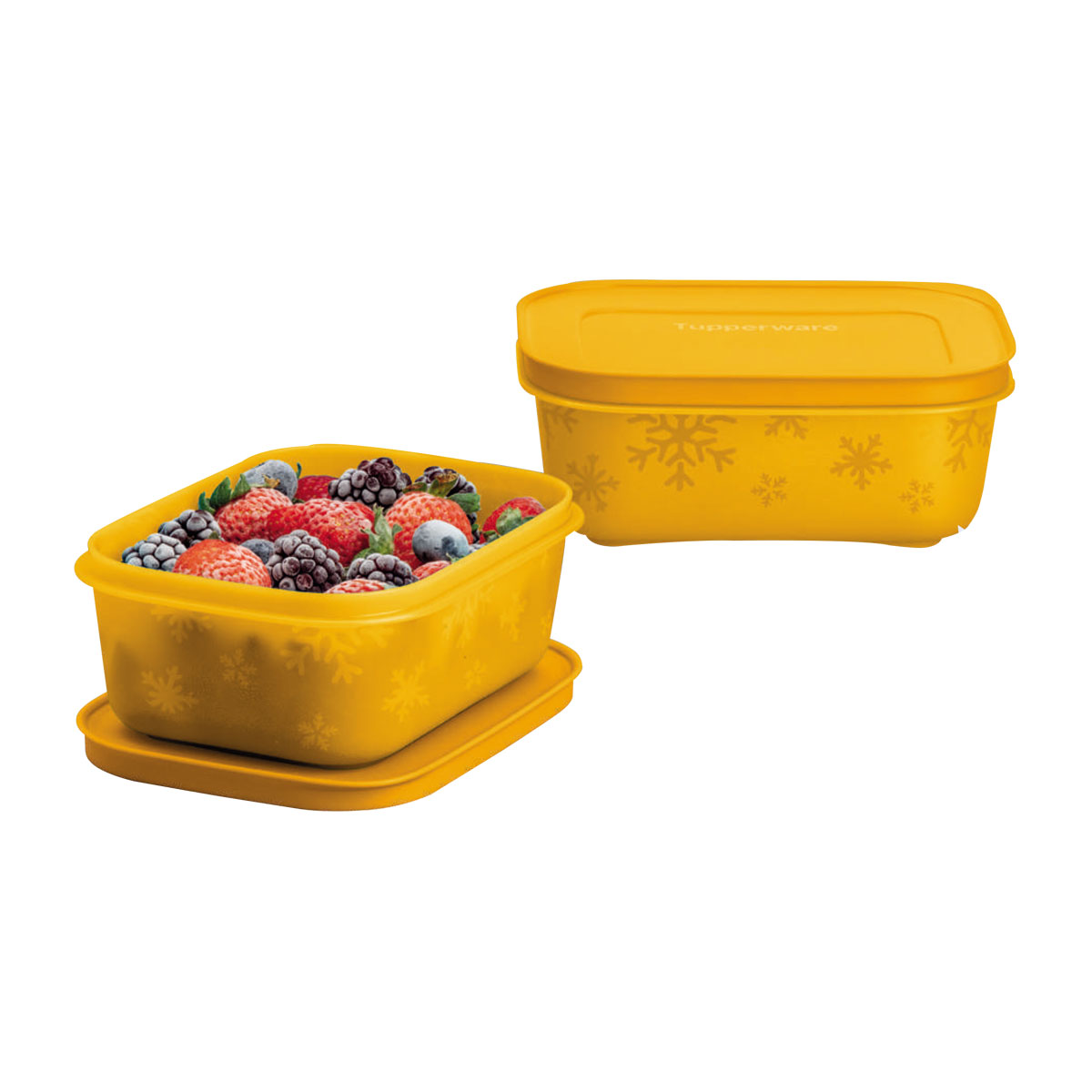 Tupperware Freezer Line 450ml Laranja - Comprar Tupperware Online ...
