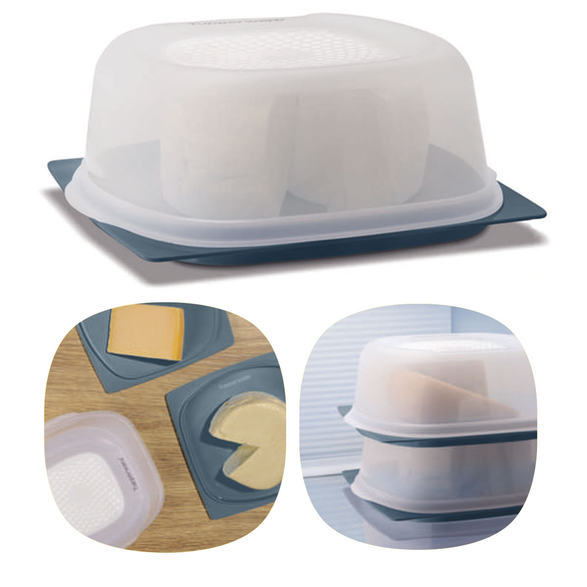Tupperware Smart Queijeira Quadrada Pequena Geração III - Comprar ...