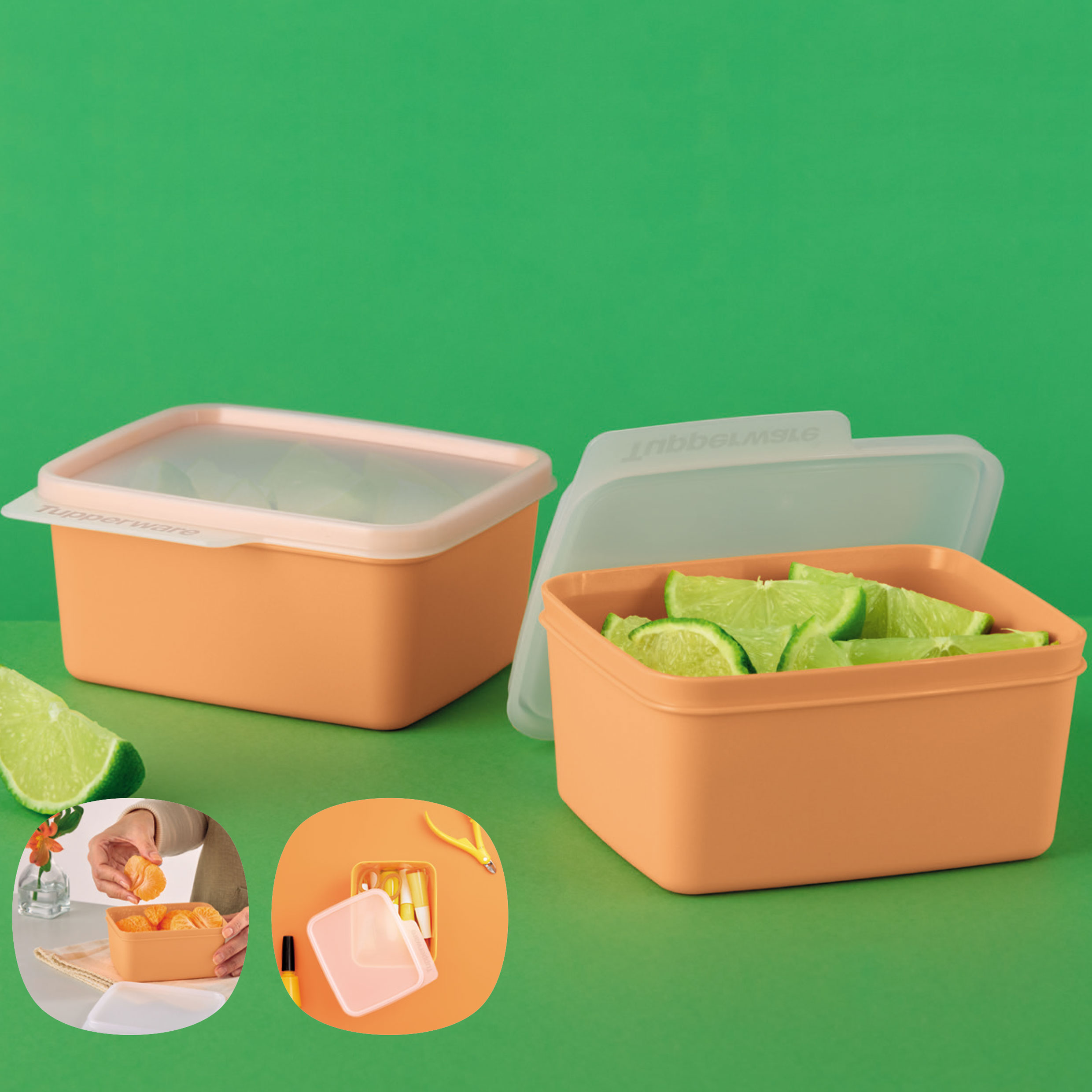 Tupperware Basic Line 500ml Laranja - Comprar Tupperware Online? Wareshop - Loja Mundo Tupperware