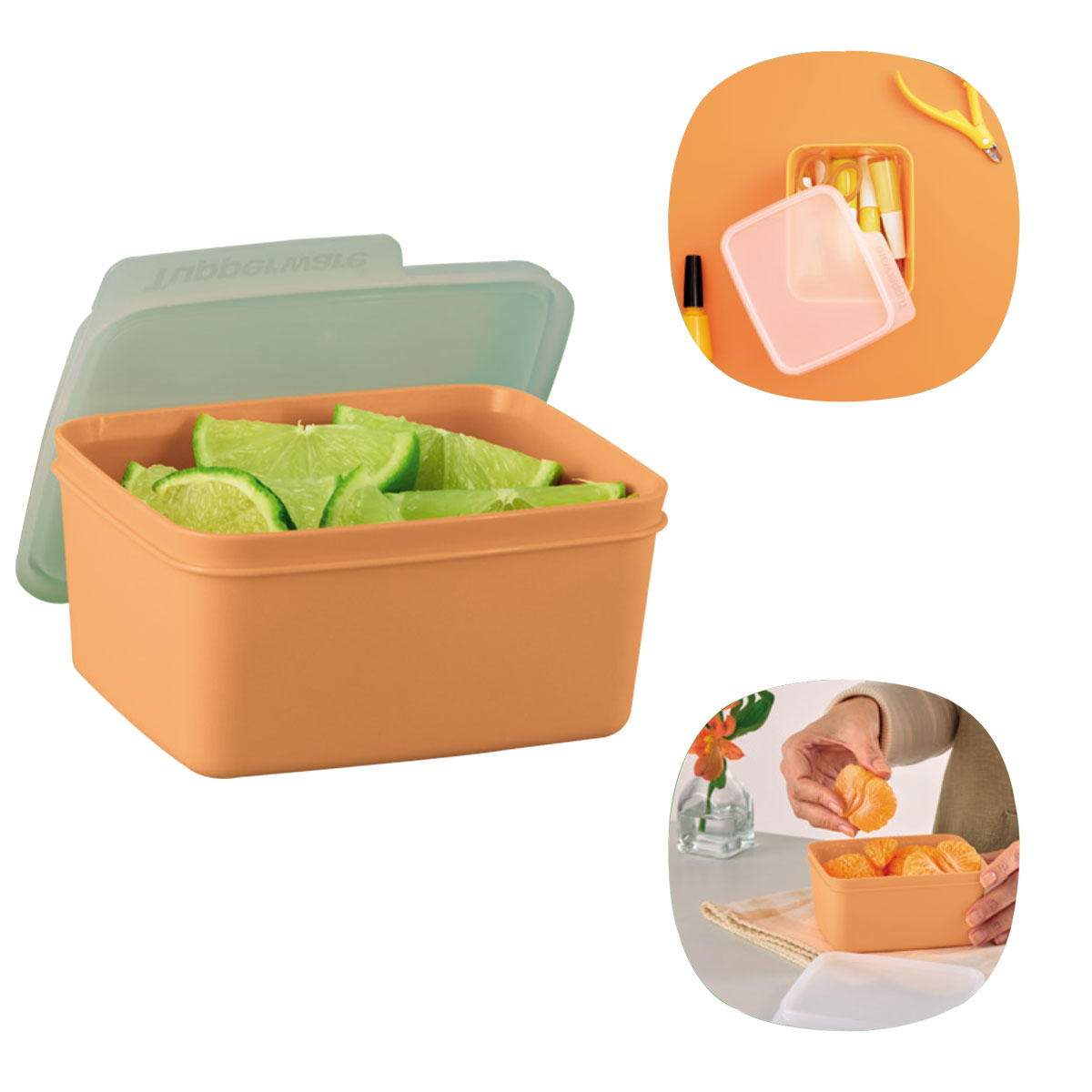 Kit Tupperware Basic Line 500ml Laranja 2 peças - Comprar Tupperware ...