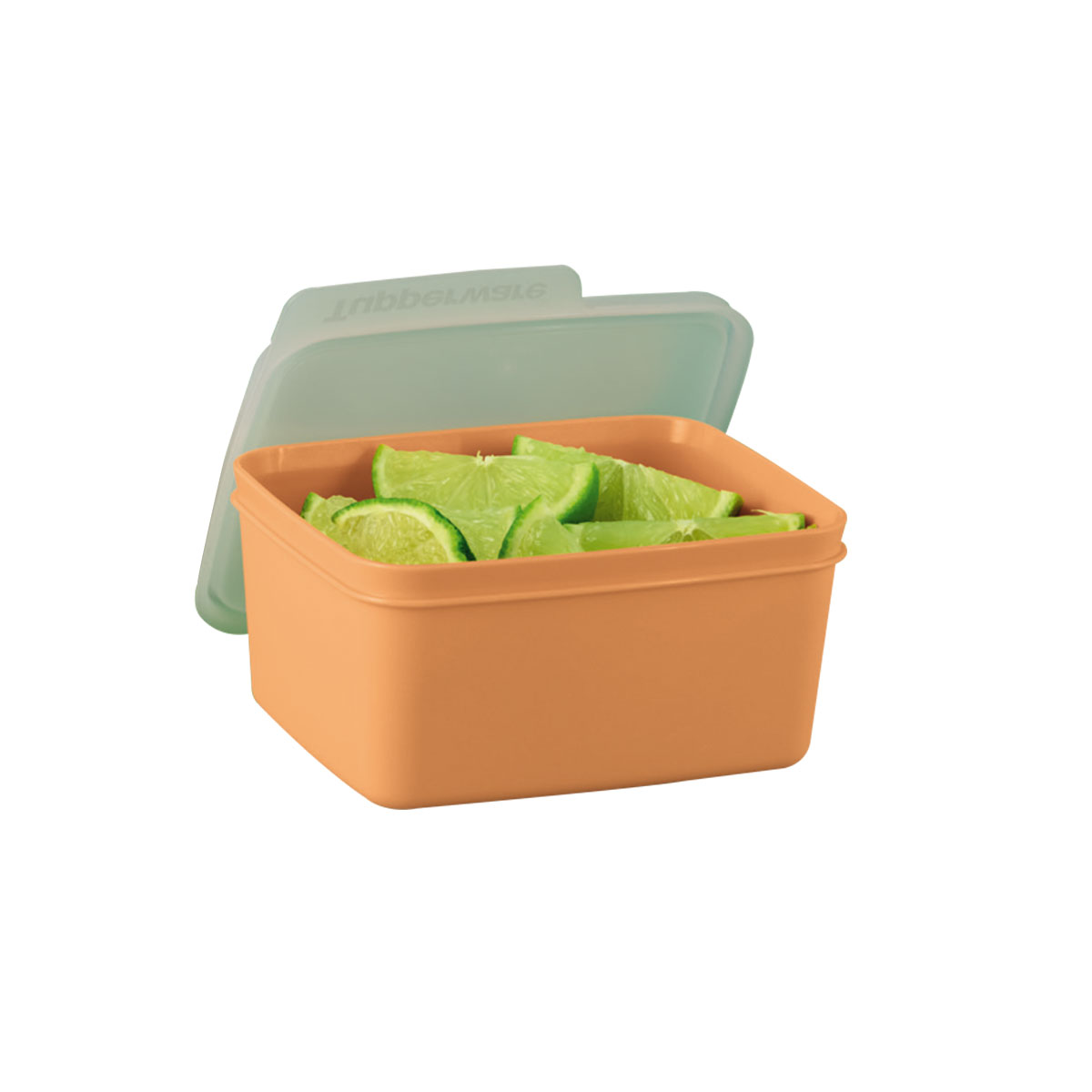 Tupperware kit Basic Line 5 peças - Comprar Tupperware Online? Wareshop ...