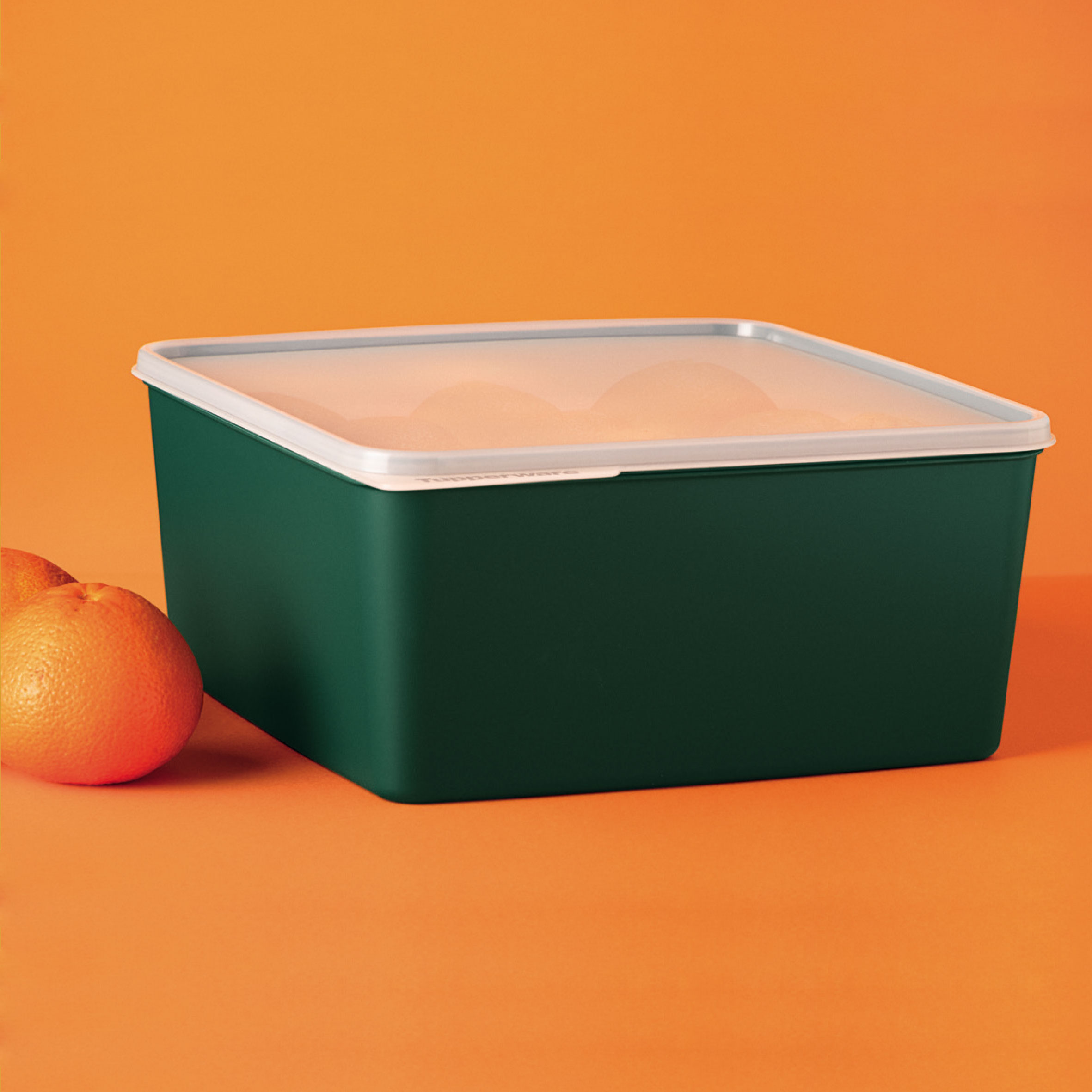 Tupperware Basic Line 5 litros Verde Escuro - Comprar Tupperware Online ...