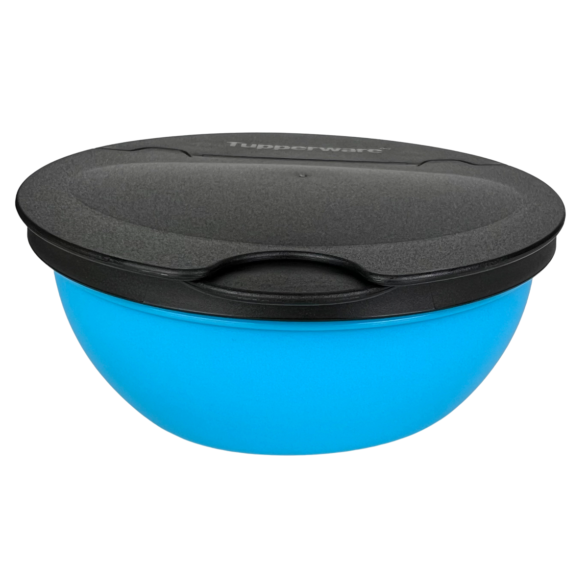 Tupperware Saleiro 300g Azul e Preto - Comprar Tupperware Online ...