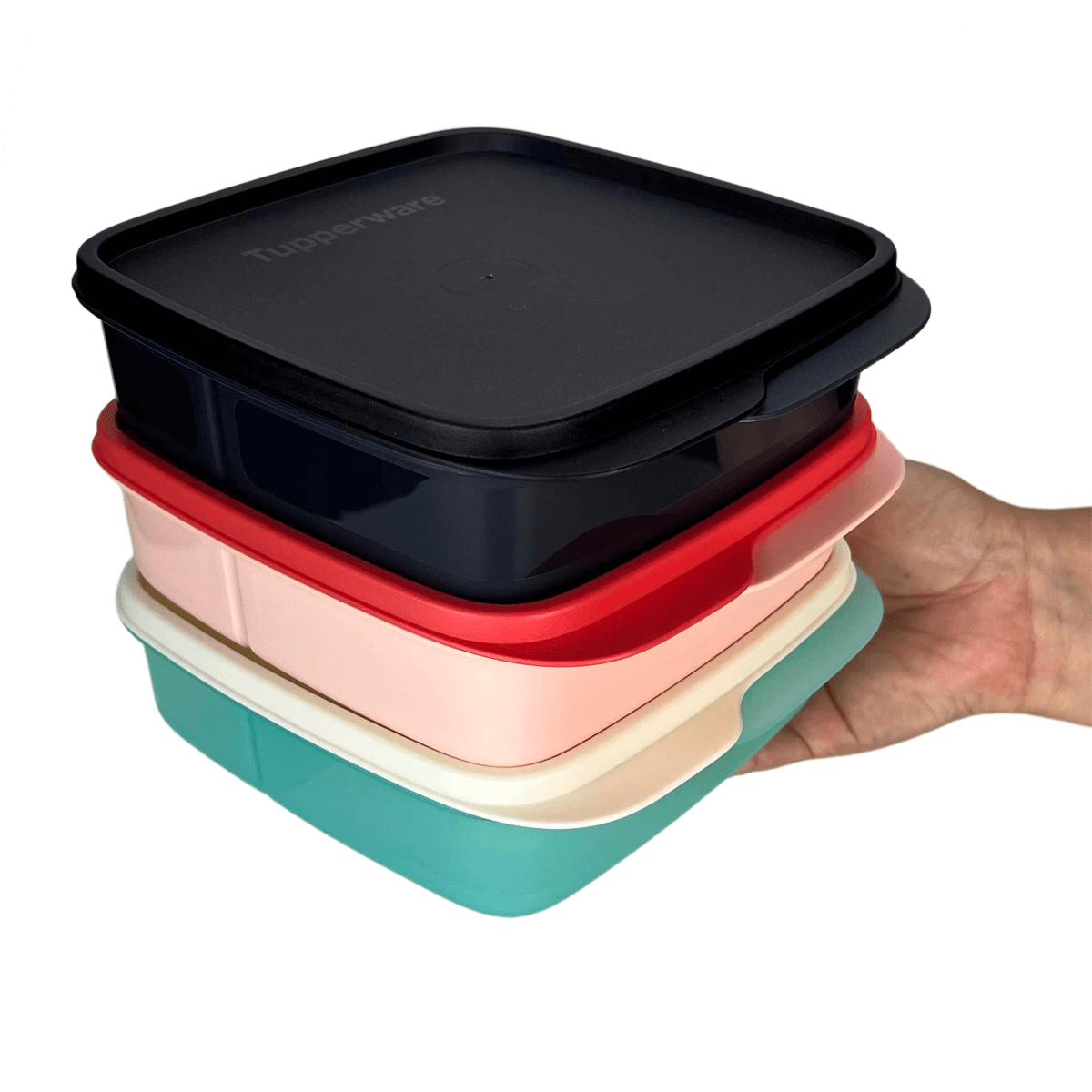 Kit Tupperware Basic Line Com Divisórias 550ml 3 peças - Comprar ...