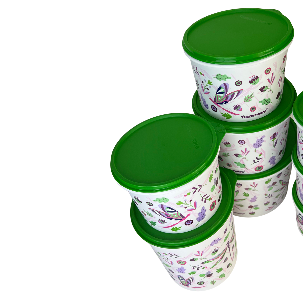 Kit Tupperware PDA 02/2025 Libélulas 8 peças - Comprar Tupperware ...