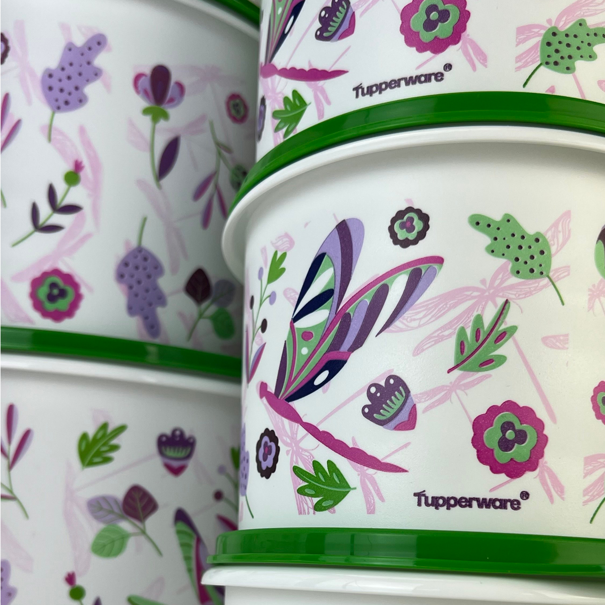 Kit Tupperware PDA 02/2025 Libélulas 8 peças - Comprar Tupperware ...